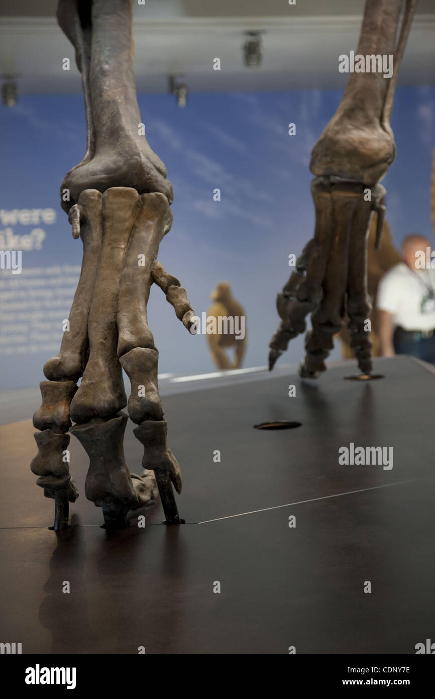 July 07, 2011 - Los Angeles, California, U.S. - The feet of a ...