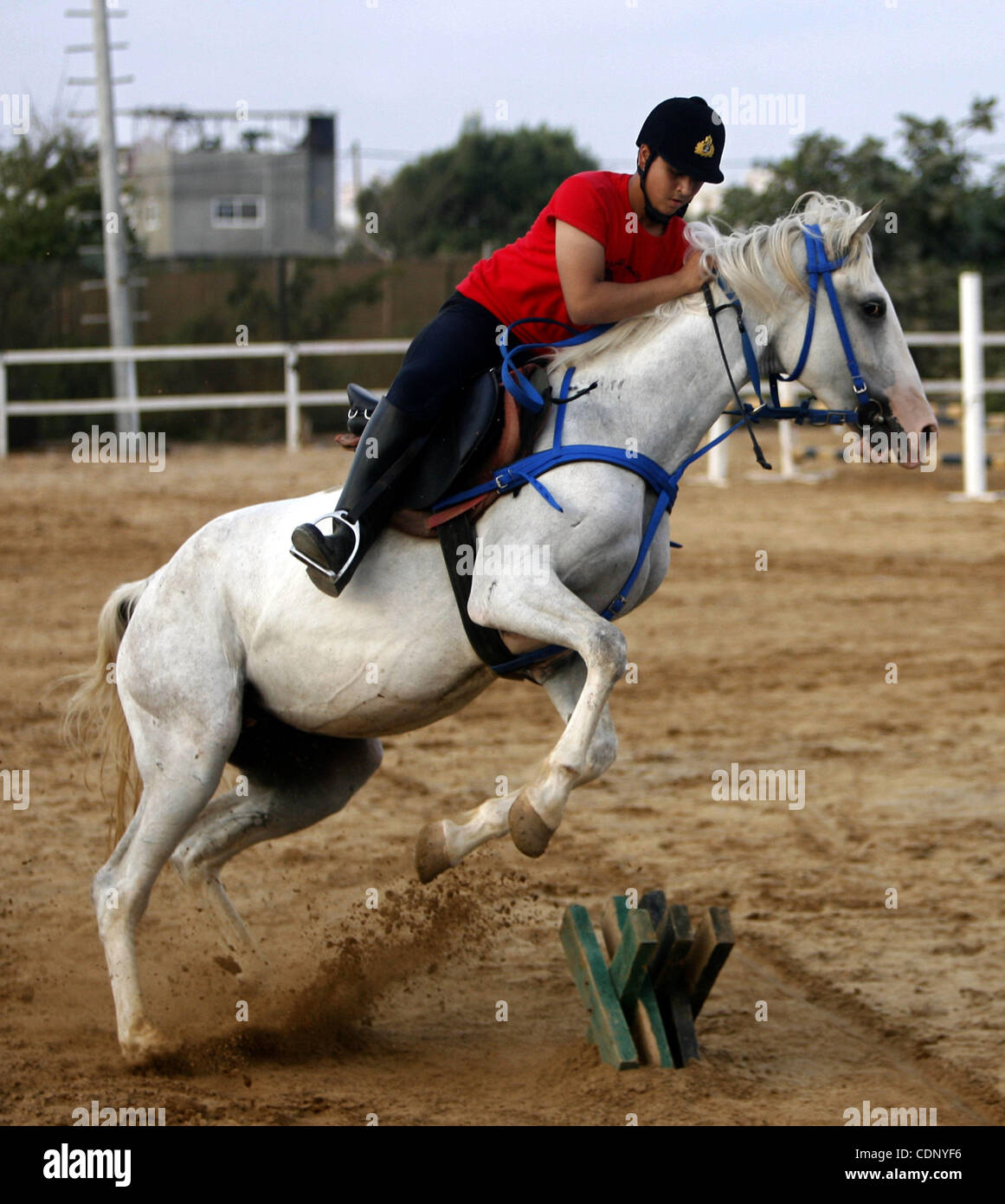July 08, 2011 - Gaza city, Gaza Strip - A Palestinian rides a horse ...
