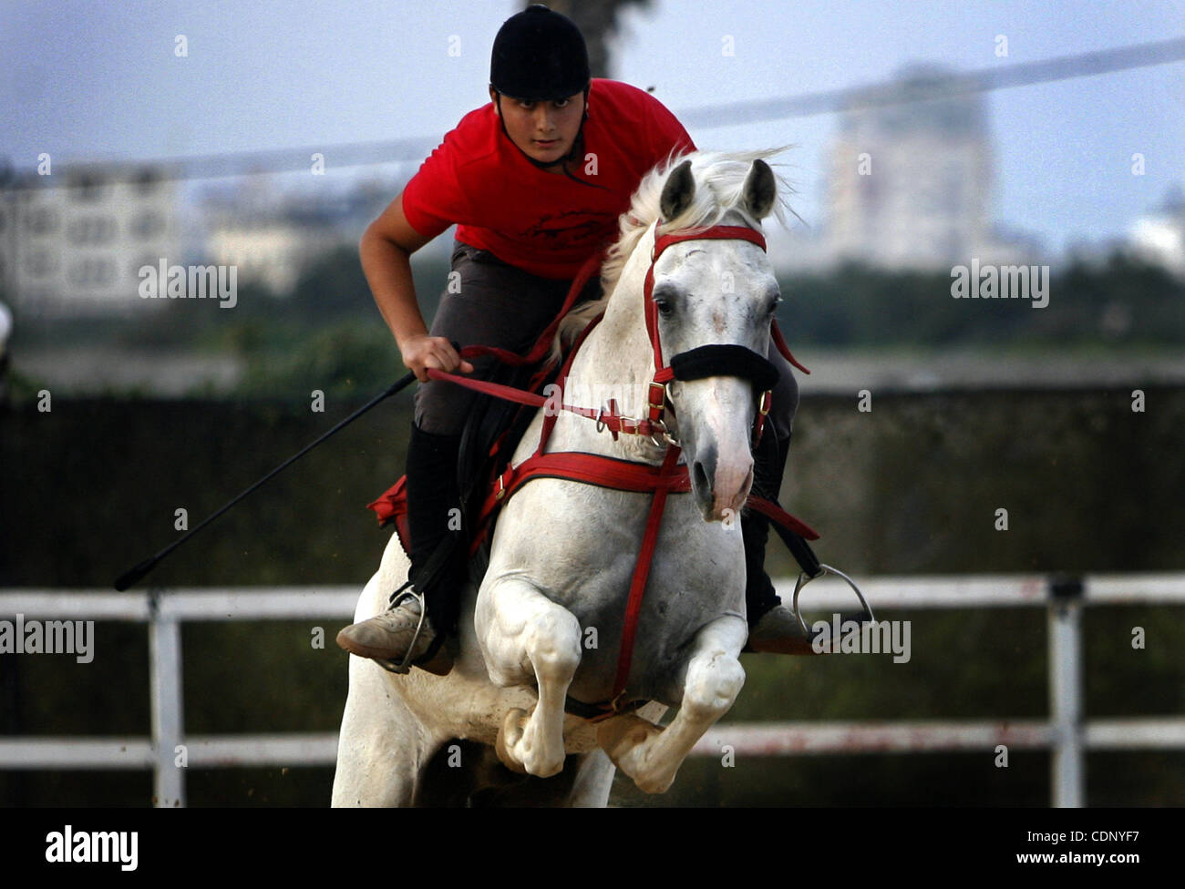 July 08, 2011 - Gaza city, Gaza Strip - A Palestinian rides a horse ...