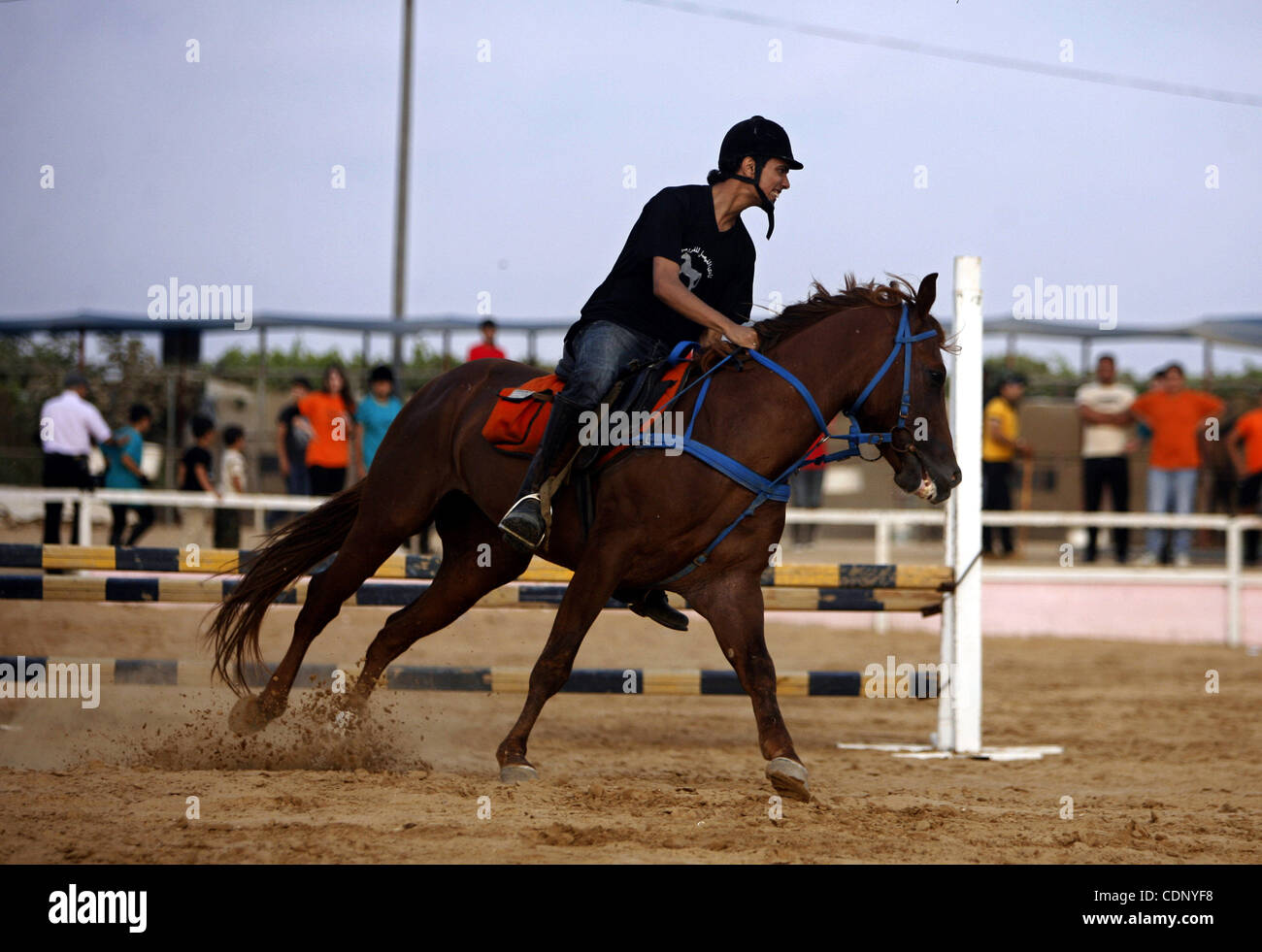 July 08, 2011 - Gaza city, Gaza Strip - A Palestinian rides a horse ...