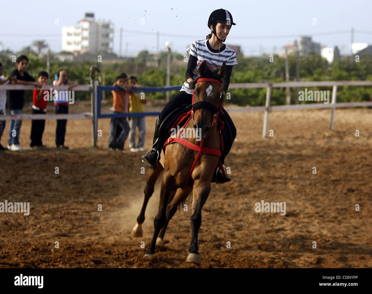 July 08, 2011 - Gaza city, Gaza Strip - A Palestinian rides a horse ...