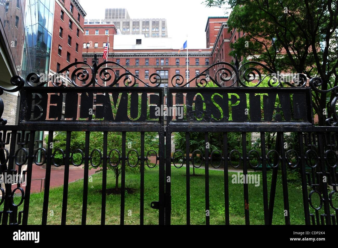 Brooklyn hospital meeting hi-res stock photography and images - Alamy