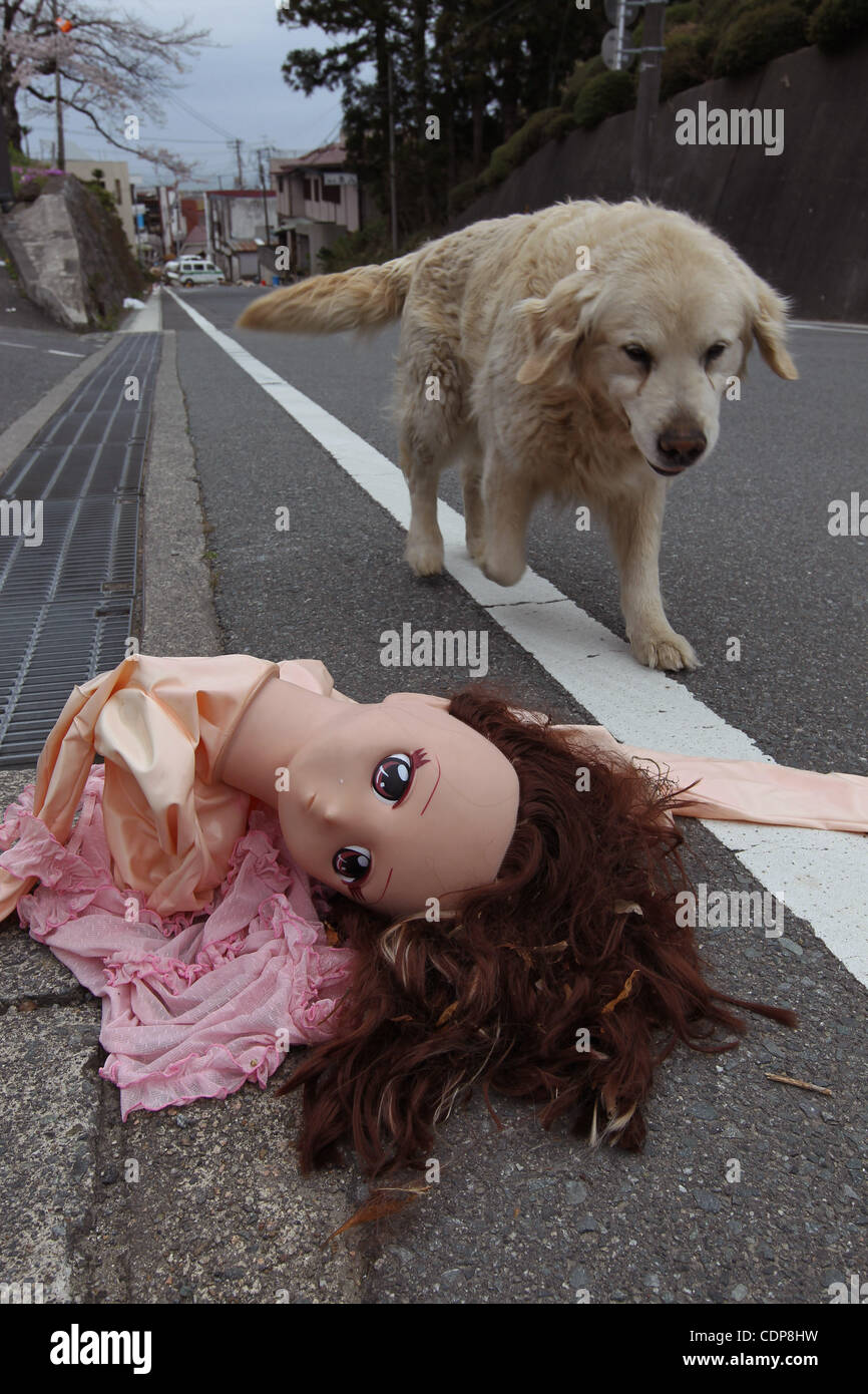 Dog exclusion area hi-res stock photography and images - Alamy