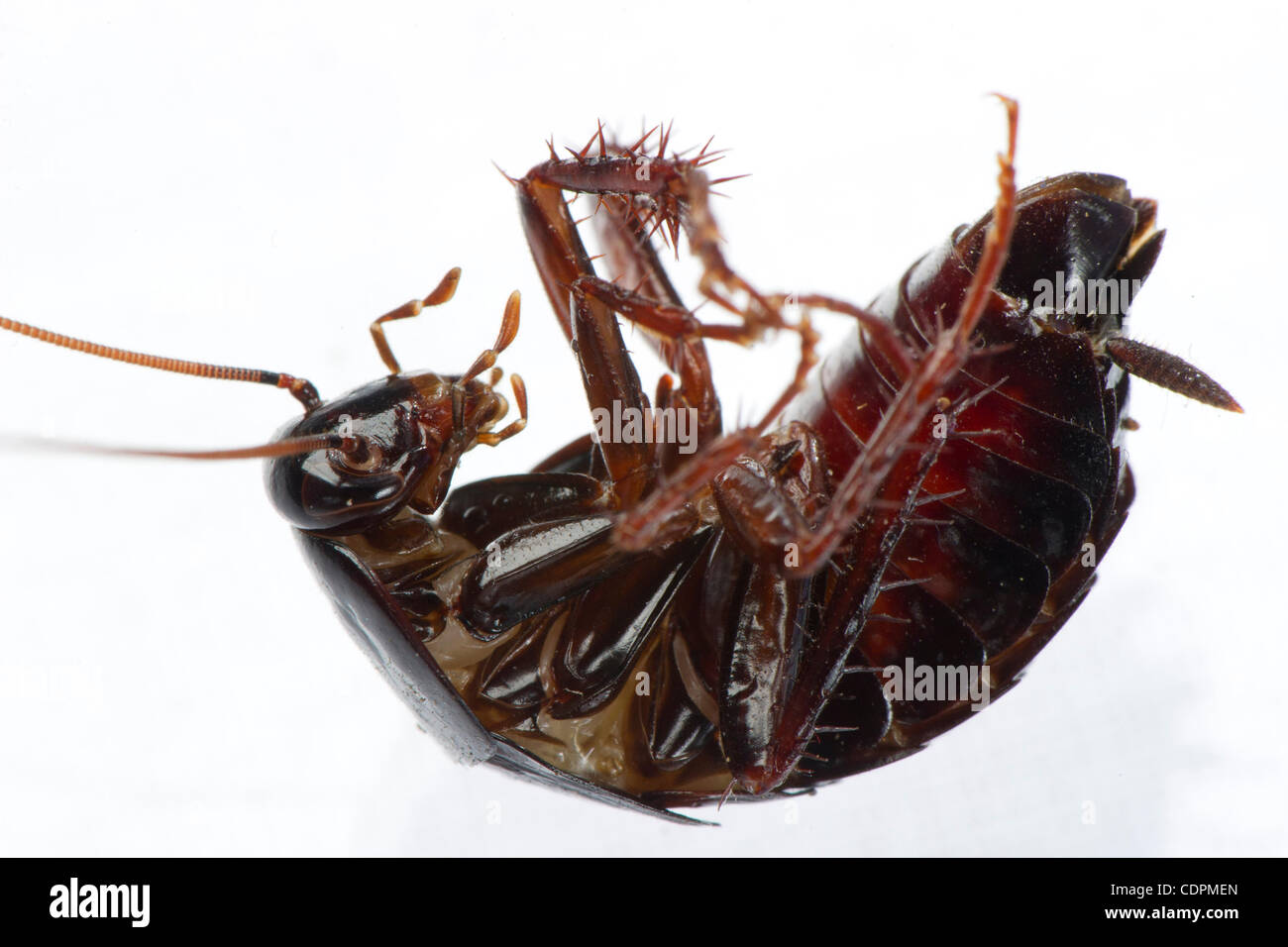 Cool places to live hi-res stock photography and images - Alamy