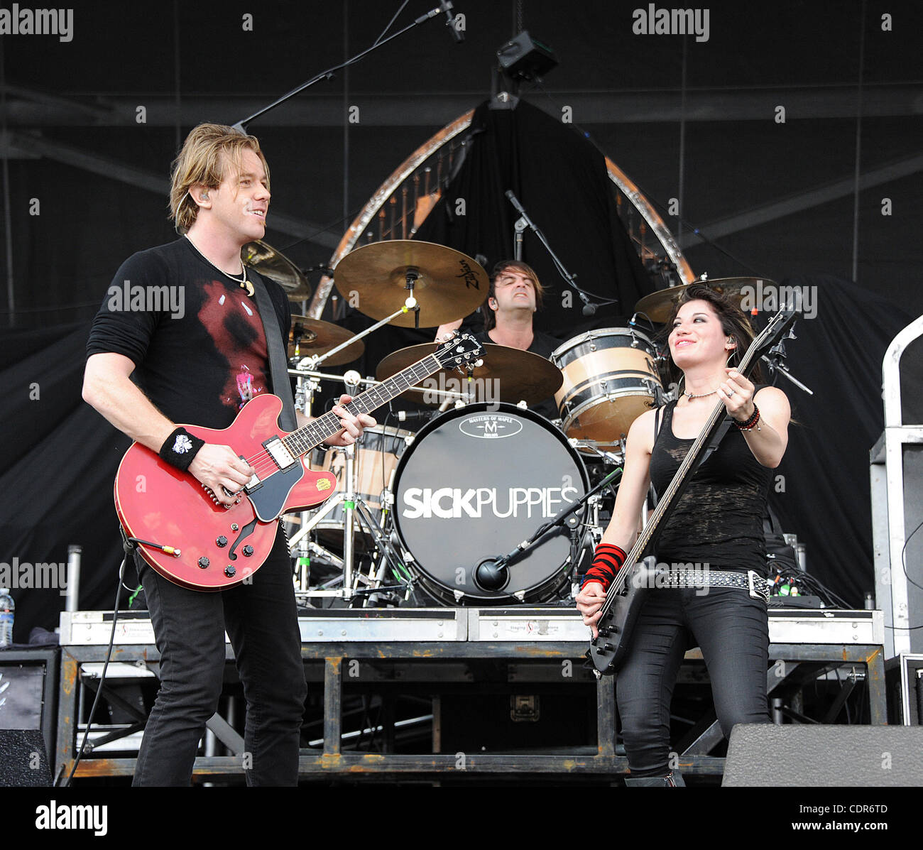 Sick Puppies High Resolution Stock Photography and Images - Alamy