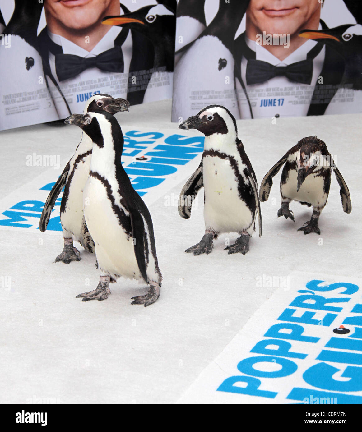 Mr Poppers Penguins Movie