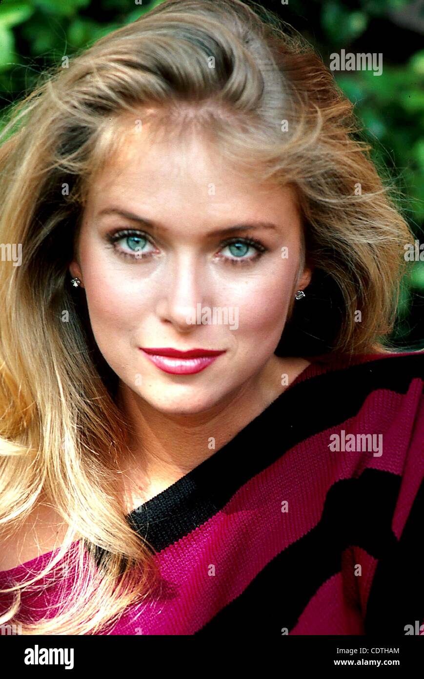 Donna Dixon Stock Photos & Donna Dixon Stock Images - Alamy