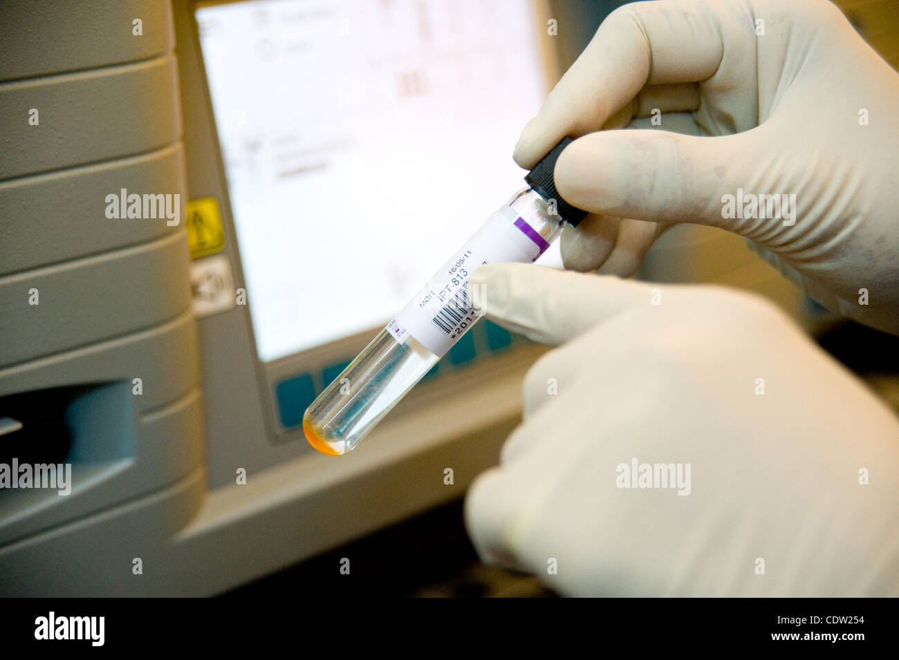 May 17, 2011 - Battambang, Cambodia - May 17, 2011, Battambang ...