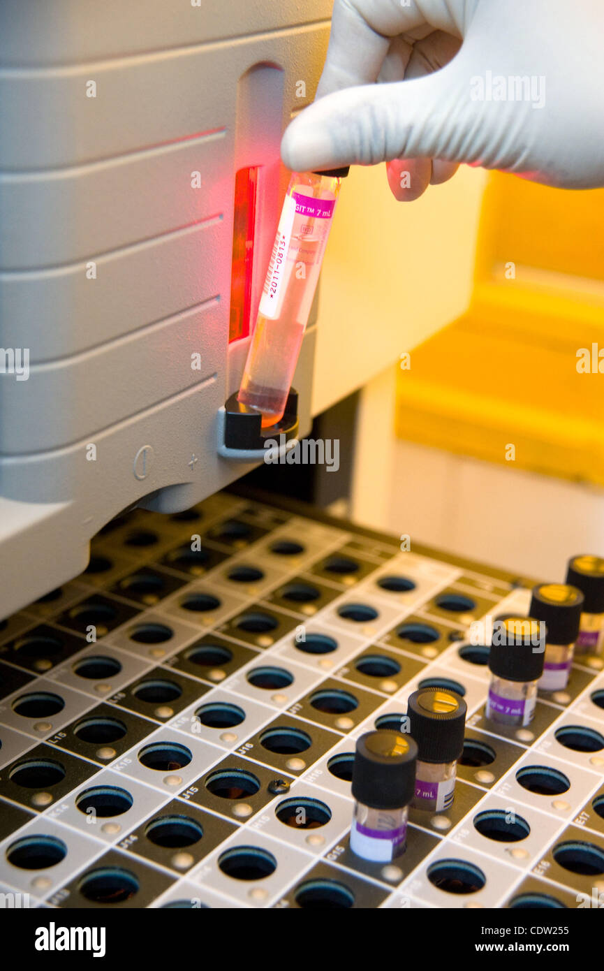 May 17, 2011 - Battambang, Cambodia - May 17, 2011, Battambang ...