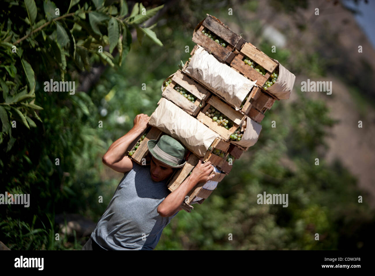 Jul 07, 2011 - Cascas, Peru - Workers shoulder carry over 75 lbs of ...