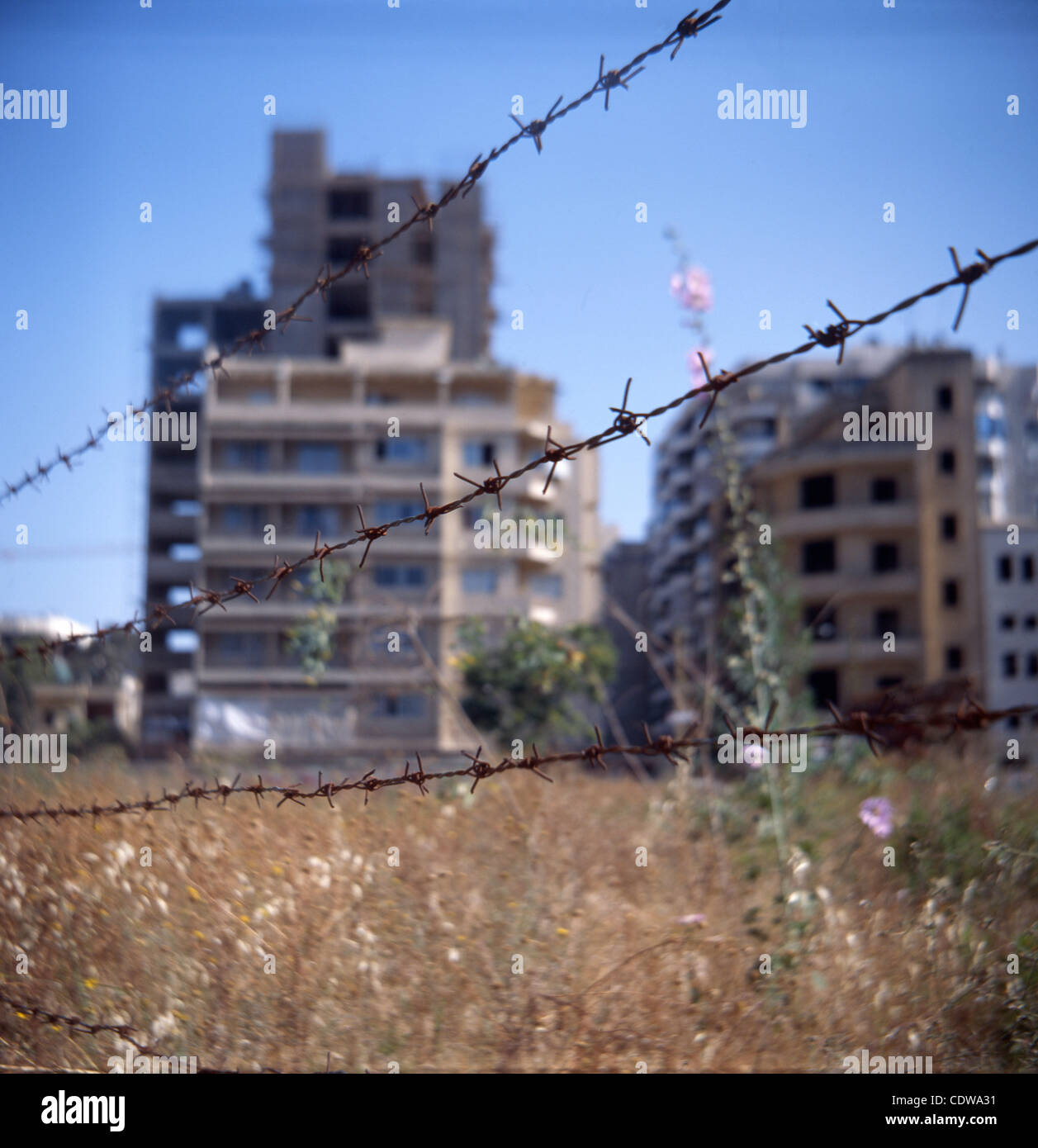 Beirut Rue De Damas Green High Resolution Stock Photography and Images ...