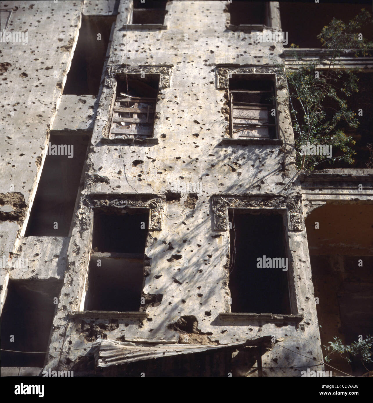 Rue de damas hi-res stock photography and images - Alamy