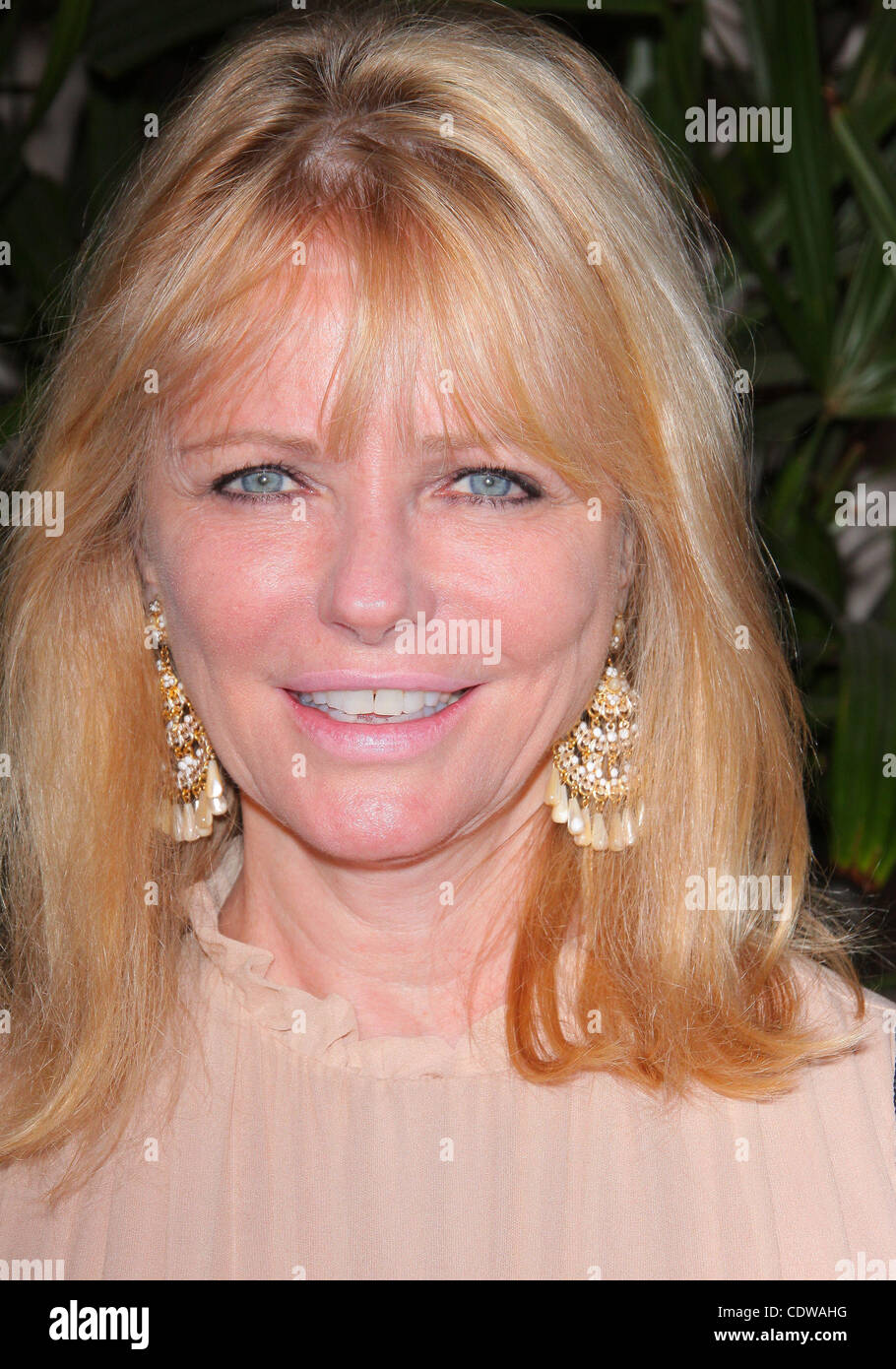Cheryl Tiegs High Resolution Stock Photography and Images - Alamy
