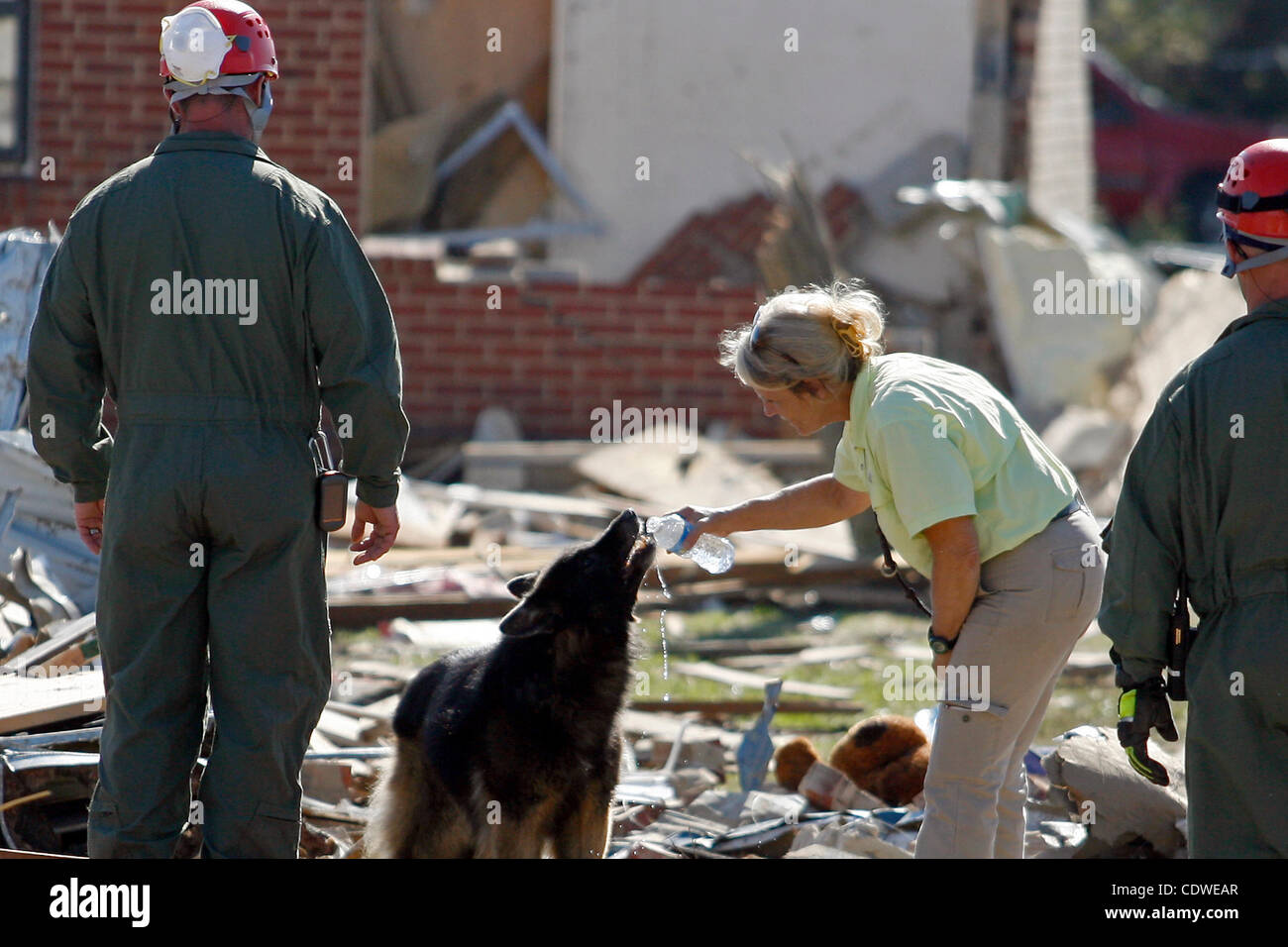 Tuscaloosa tornado dog hi-res stock photography and images - Alamy