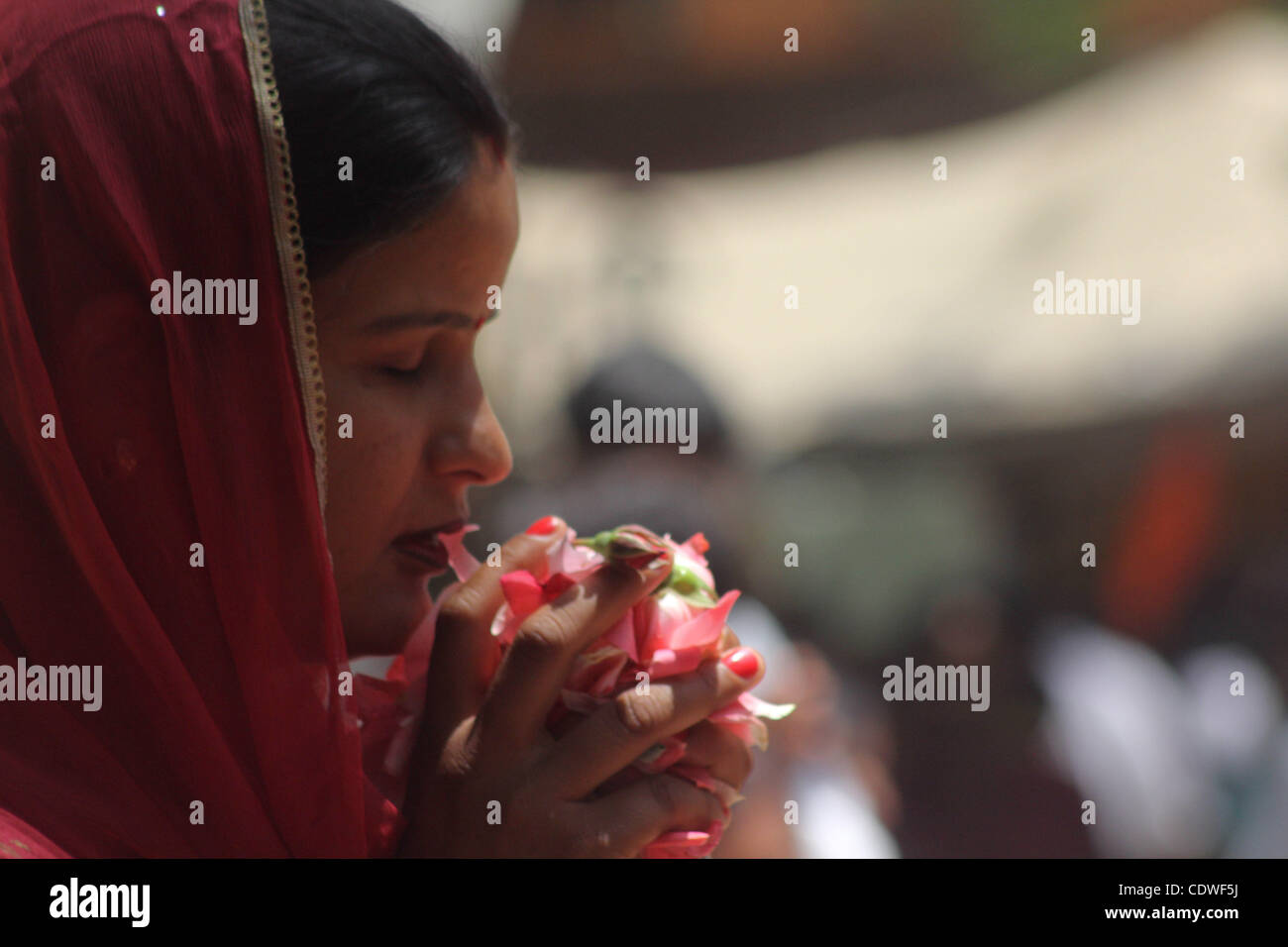 Kashmiri pandit (Hindu) devotee offers prayers at the Kheer Bhawani ...
