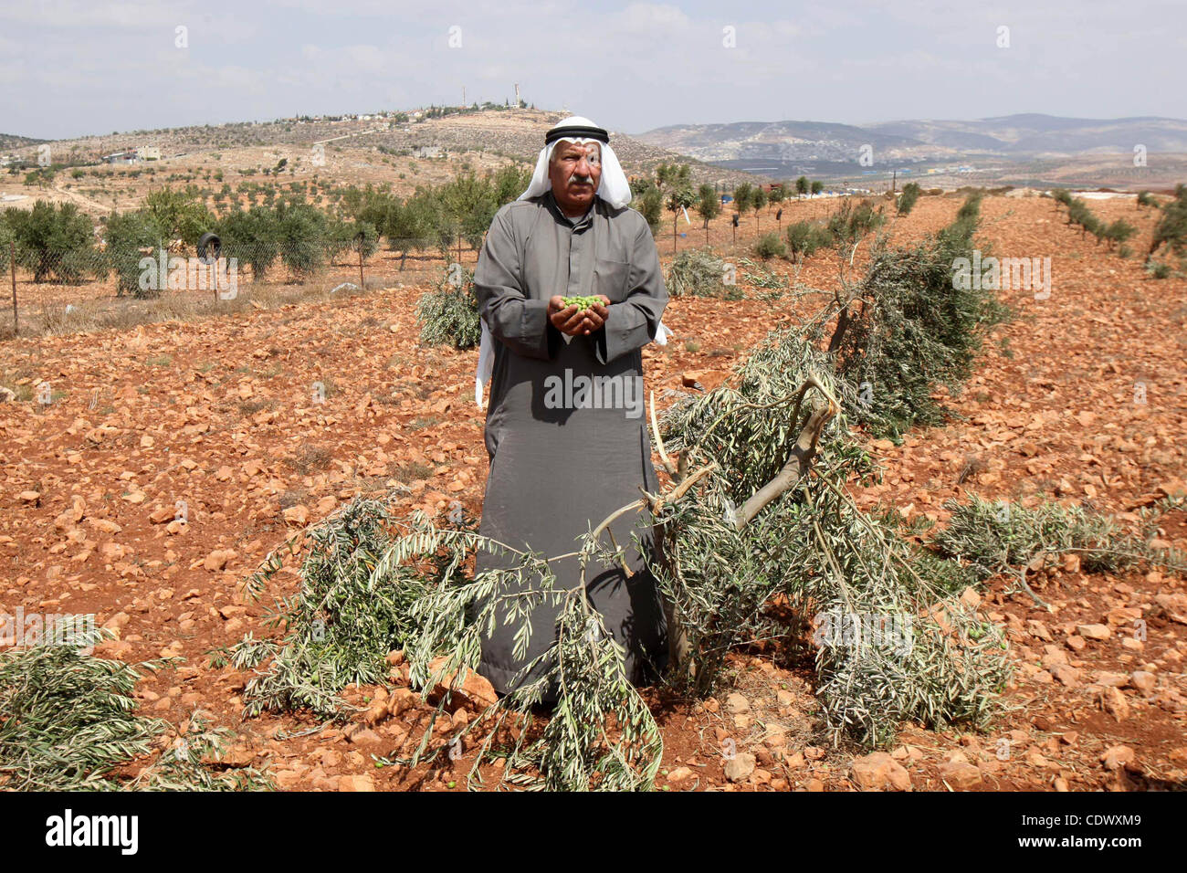 Sep. 10, 2011 - Qusra, West Bank - A Palestinian farmer, MOHAMED ODEH ...