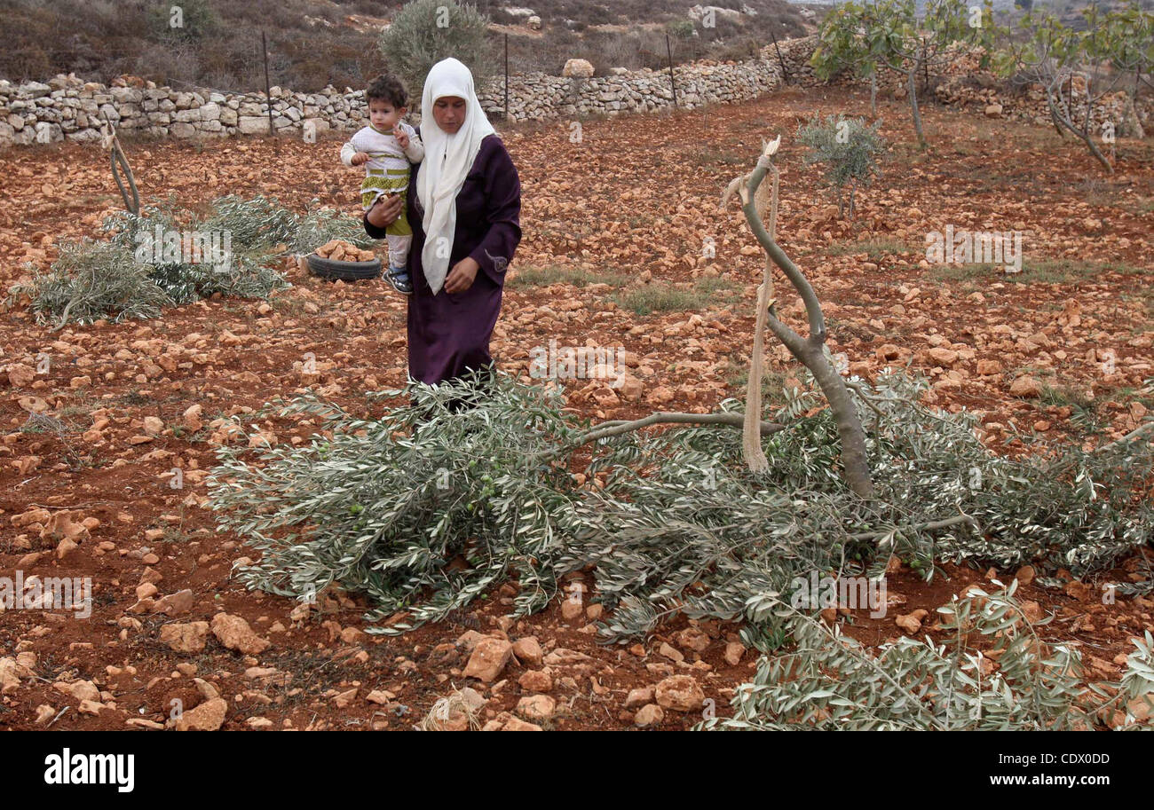 A Palestinian woman gestures next to a damaged olive tree in the ...