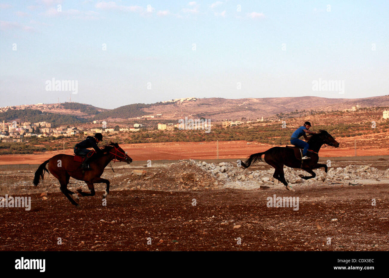 Nov. 8, 2011 - Nablus, West Bank, Palestinian Territories - A ...