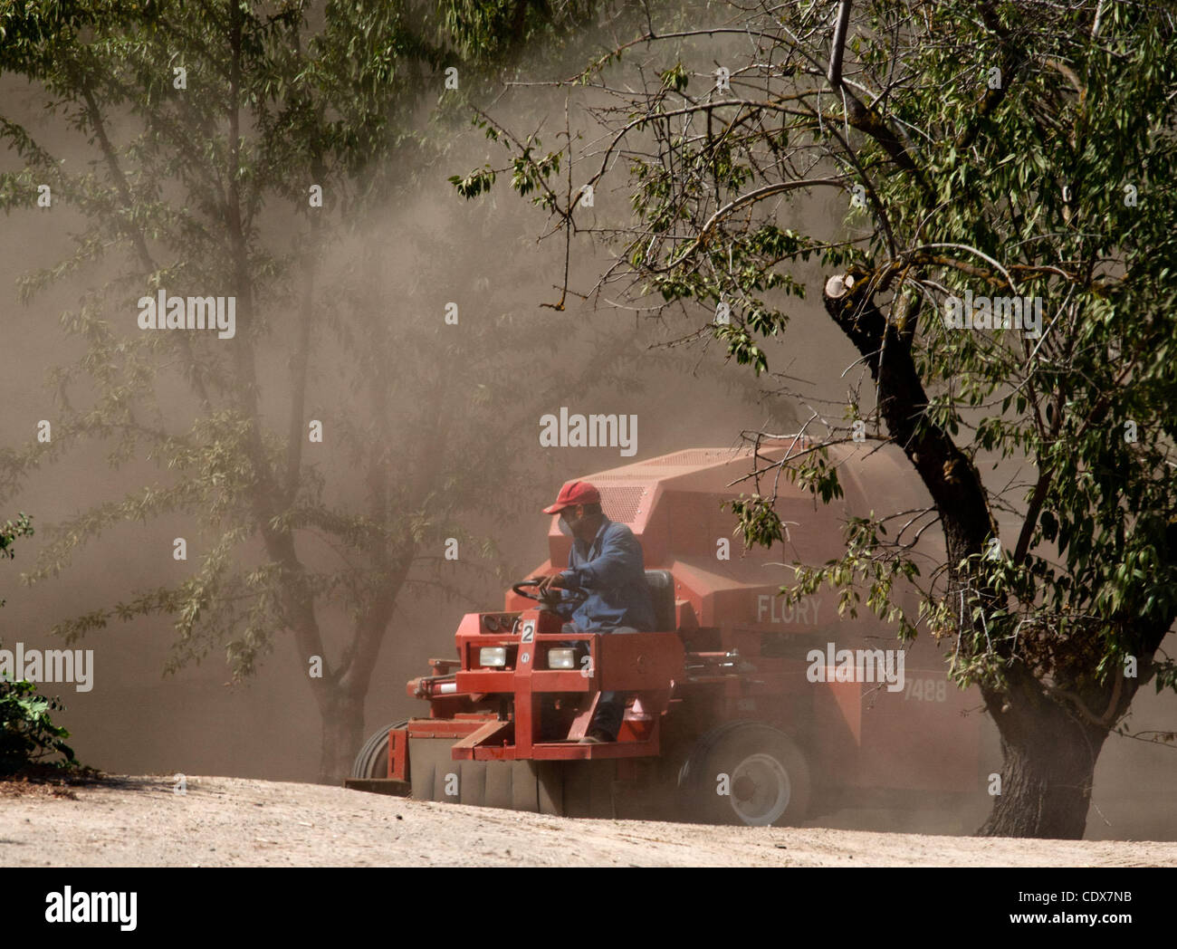 Sept. 28, 2011 - Modesto, CA, USA - Almond harvest in Stanislaus County ...