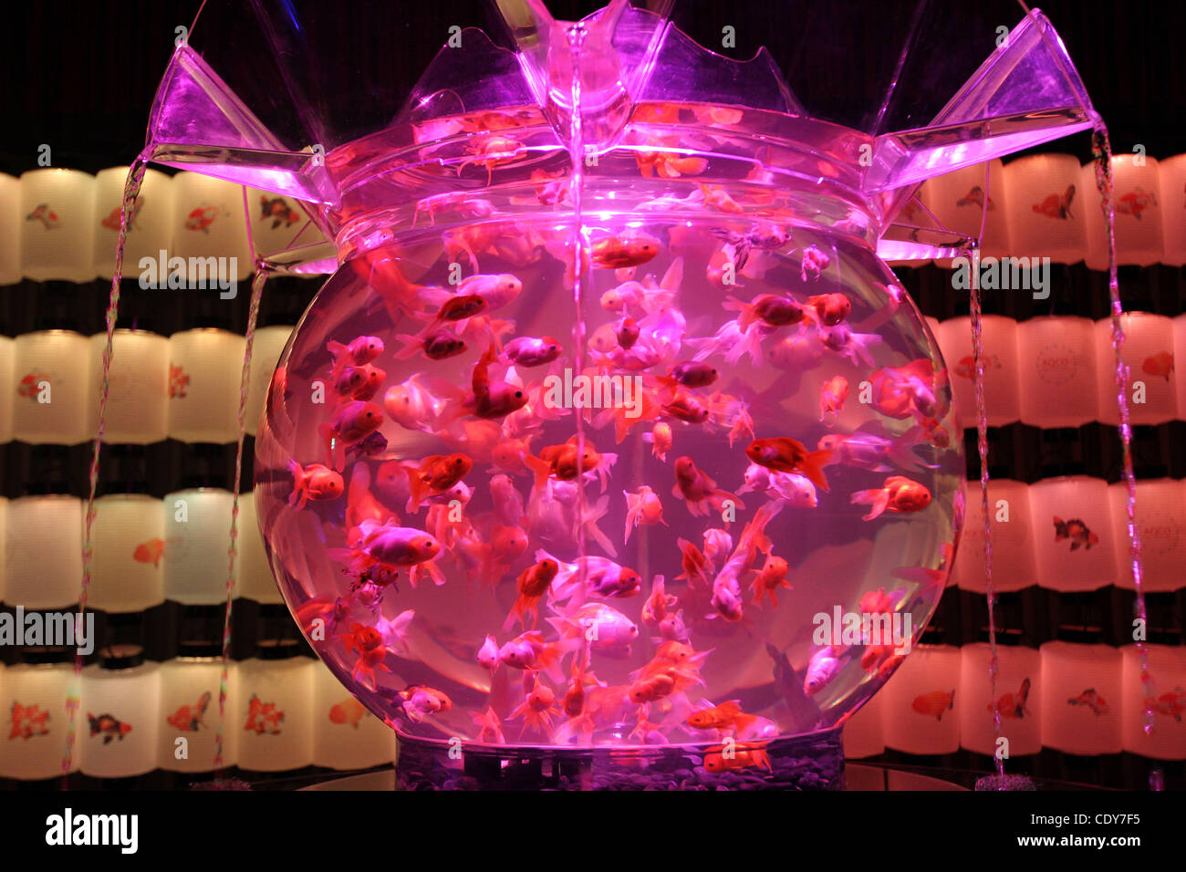 Aug. 22, 2011 - Tokyo, Japan - Kingyo (goldfish) is lit up during the ...