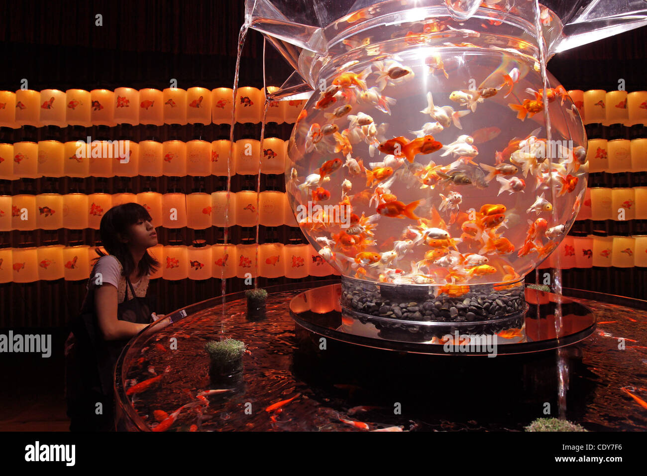 Kingyo tokyo hi-res stock photography and images - Alamy