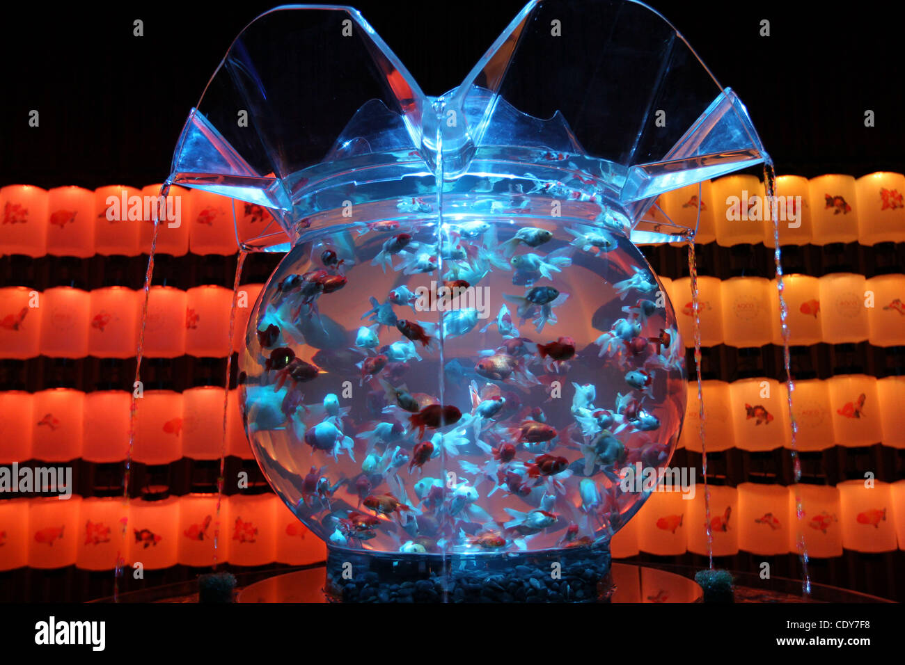 Aug. 22, 2011 - Tokyo, Japan - Kingyo (goldfish) is lit up during the ...