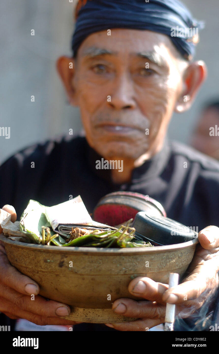 The indigenous Sundanese tribe parading with freshly harvested during ...