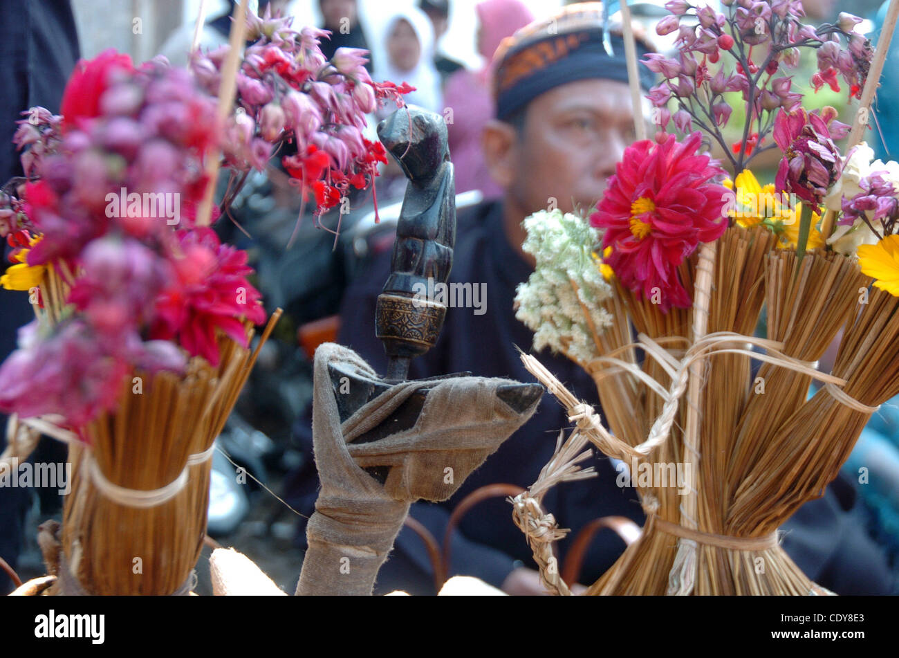 The indigenous Sundanese tribe parading with freshly harvested during ...