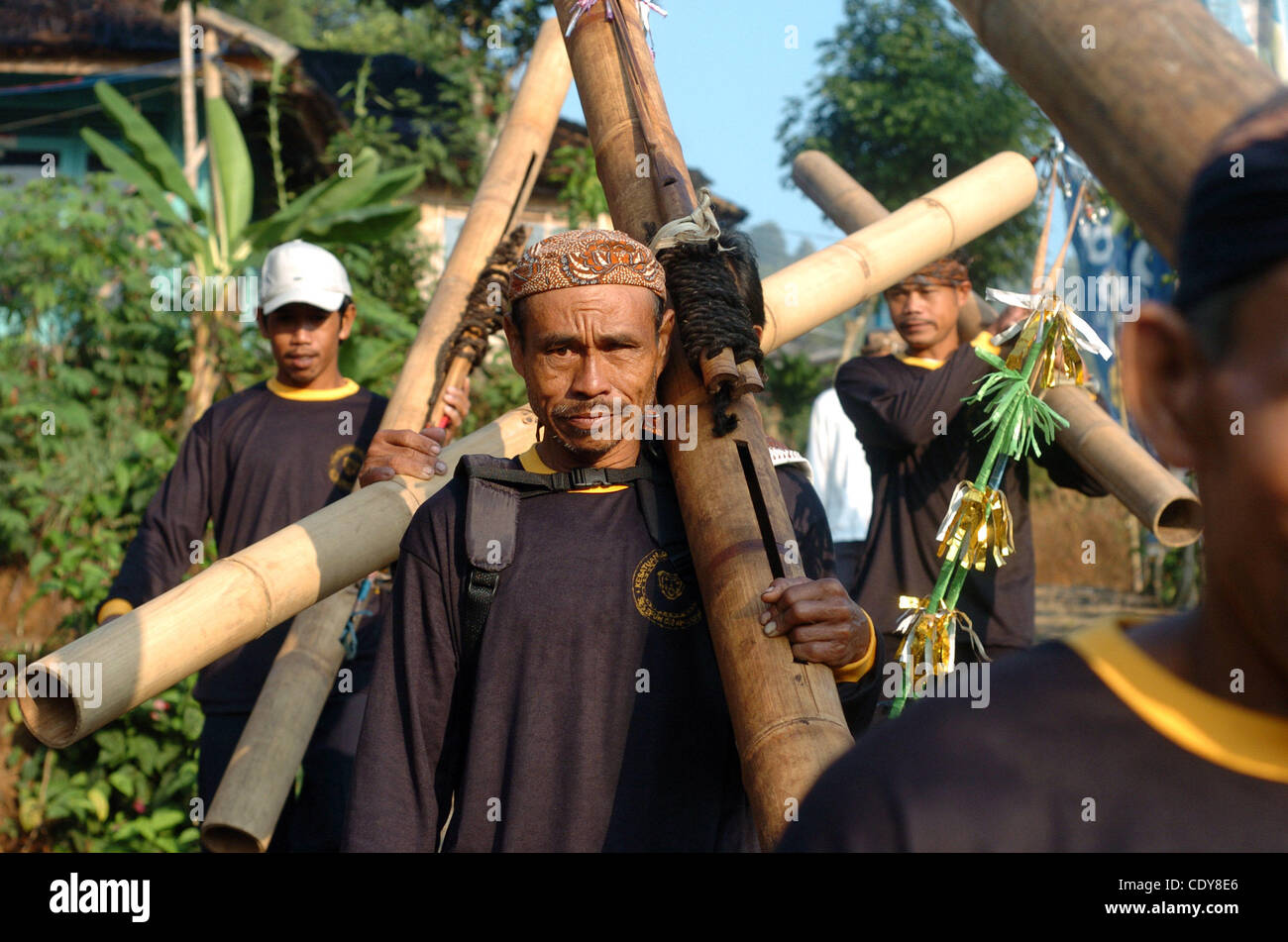 The indigenous Sundanese tribe parading with freshly harvested during ...