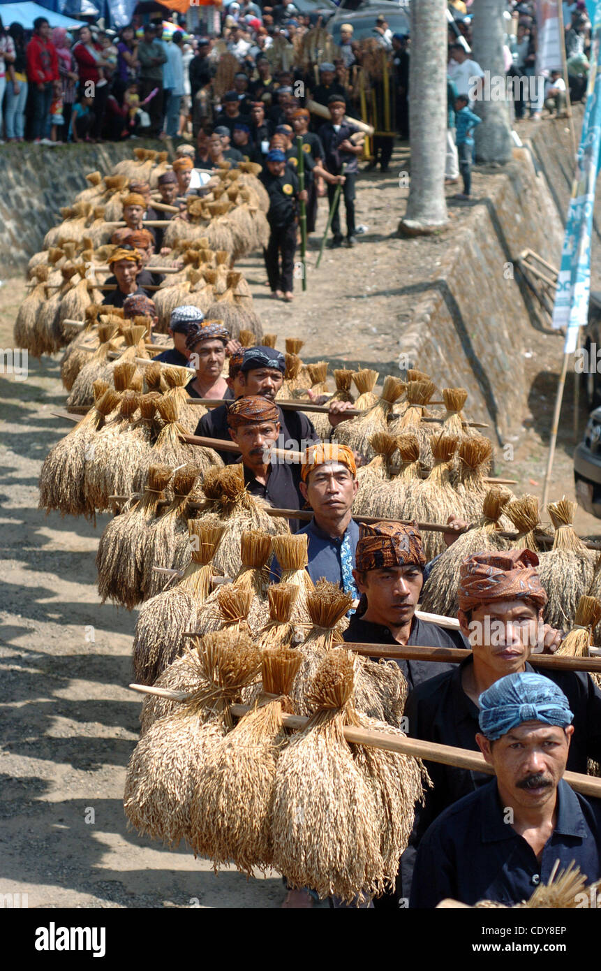 The indigenous Sundanese tribe parading with freshly harvested during ...