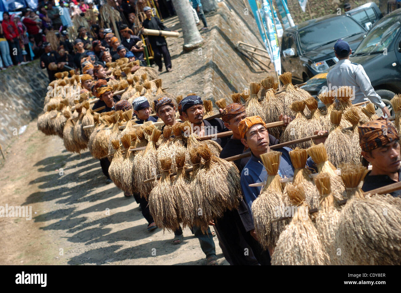 The indigenous Sundanese tribe parading with freshly harvested during ...