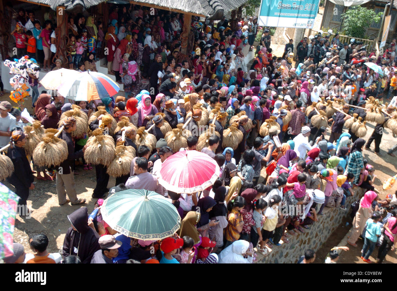 The indigenous Sundanese tribe parading with freshly harvested during ...