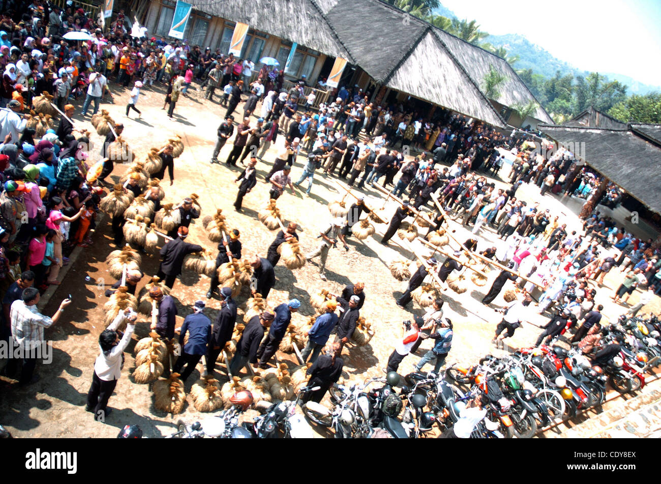 The indigenous Sundanese tribe parading with freshly harvested during ...