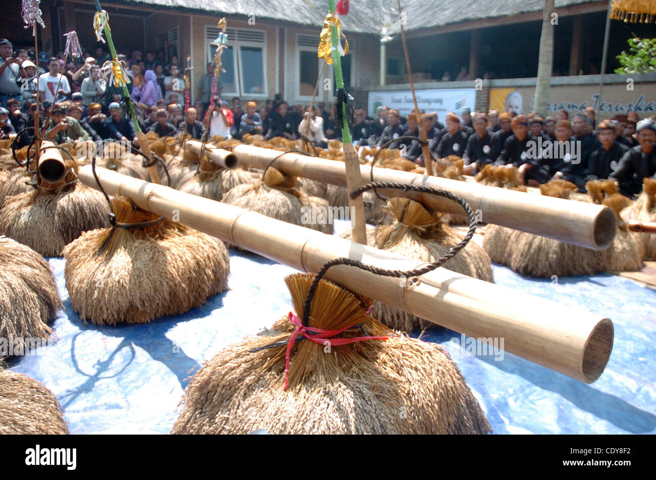The indigenous Sundanese tribe parading with freshly harvested during ...