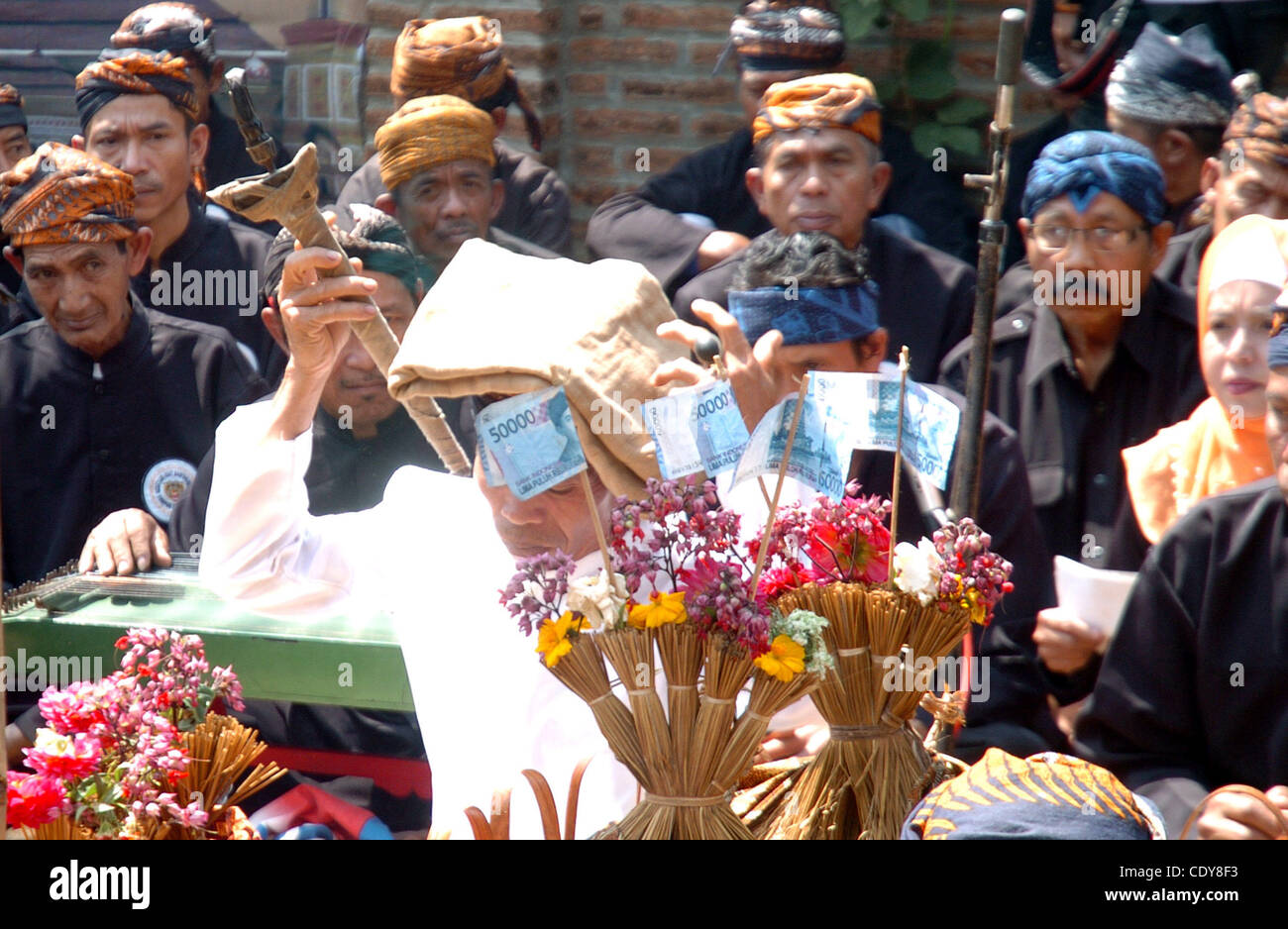 The indigenous Sundanese tribe parading with freshly harvested during ...