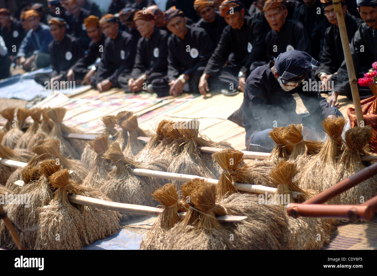 The indigenous Sundanese tribe parading with freshly harvested during ...