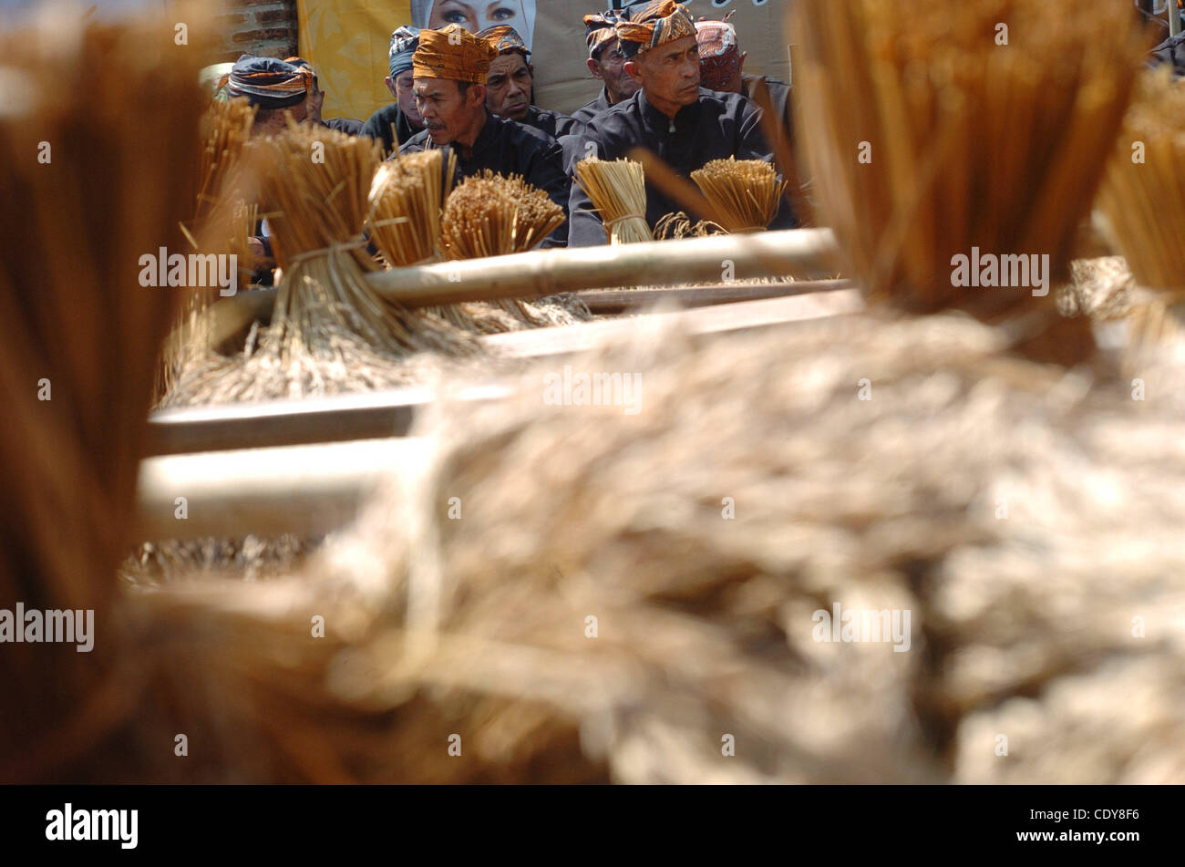 The indigenous Sundanese tribe parading with freshly harvested during ...