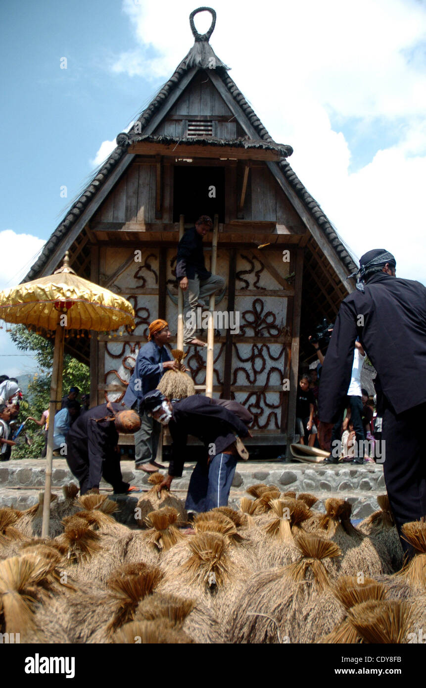 The indigenous Sundanese tribe parading with freshly harvested during ...