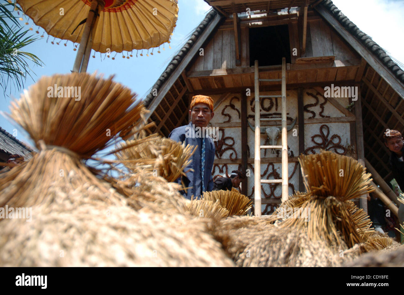 The indigenous Sundanese tribe parading with freshly harvested during ...
