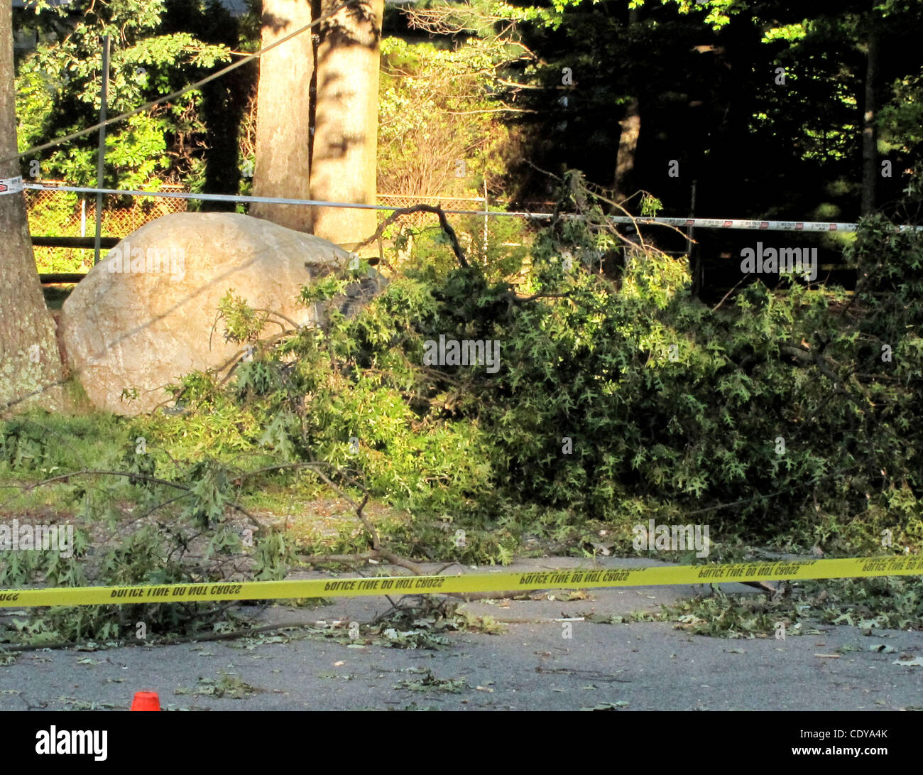Downed tree power lines hi-res stock photography and images - Alamy