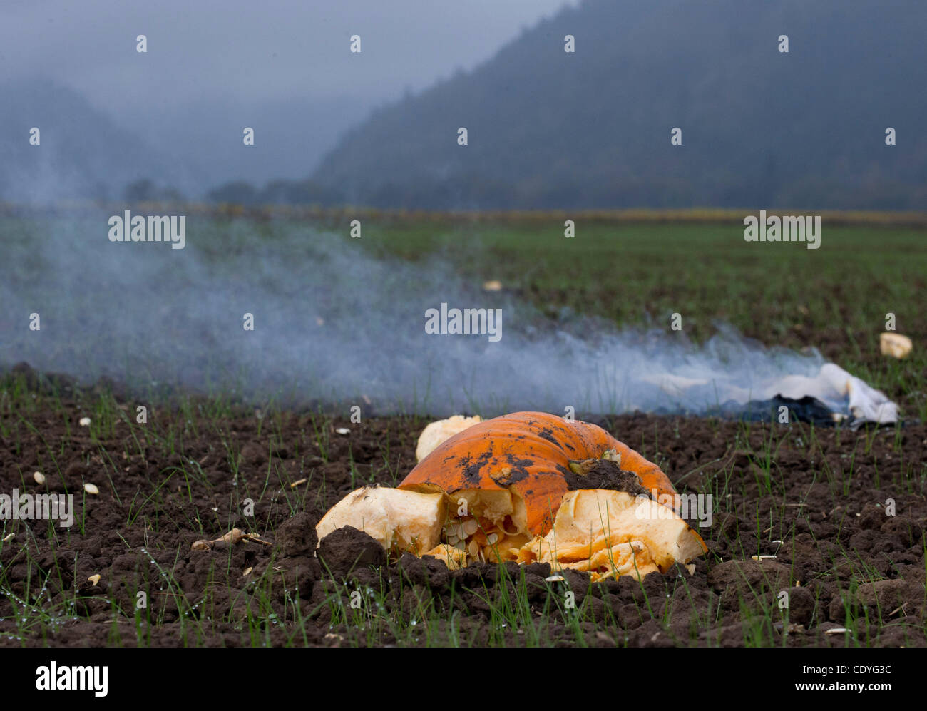 Pumpkin cannon hi-res stock photography and images - Alamy