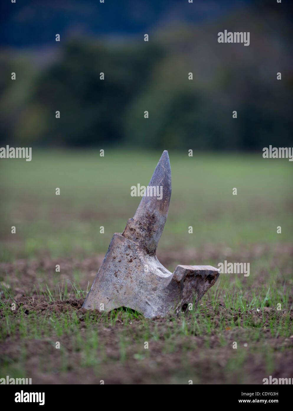 Oct. 29, 2011 - Umpqua, Oregon, U.S - A steel anvil is wedged into the ...