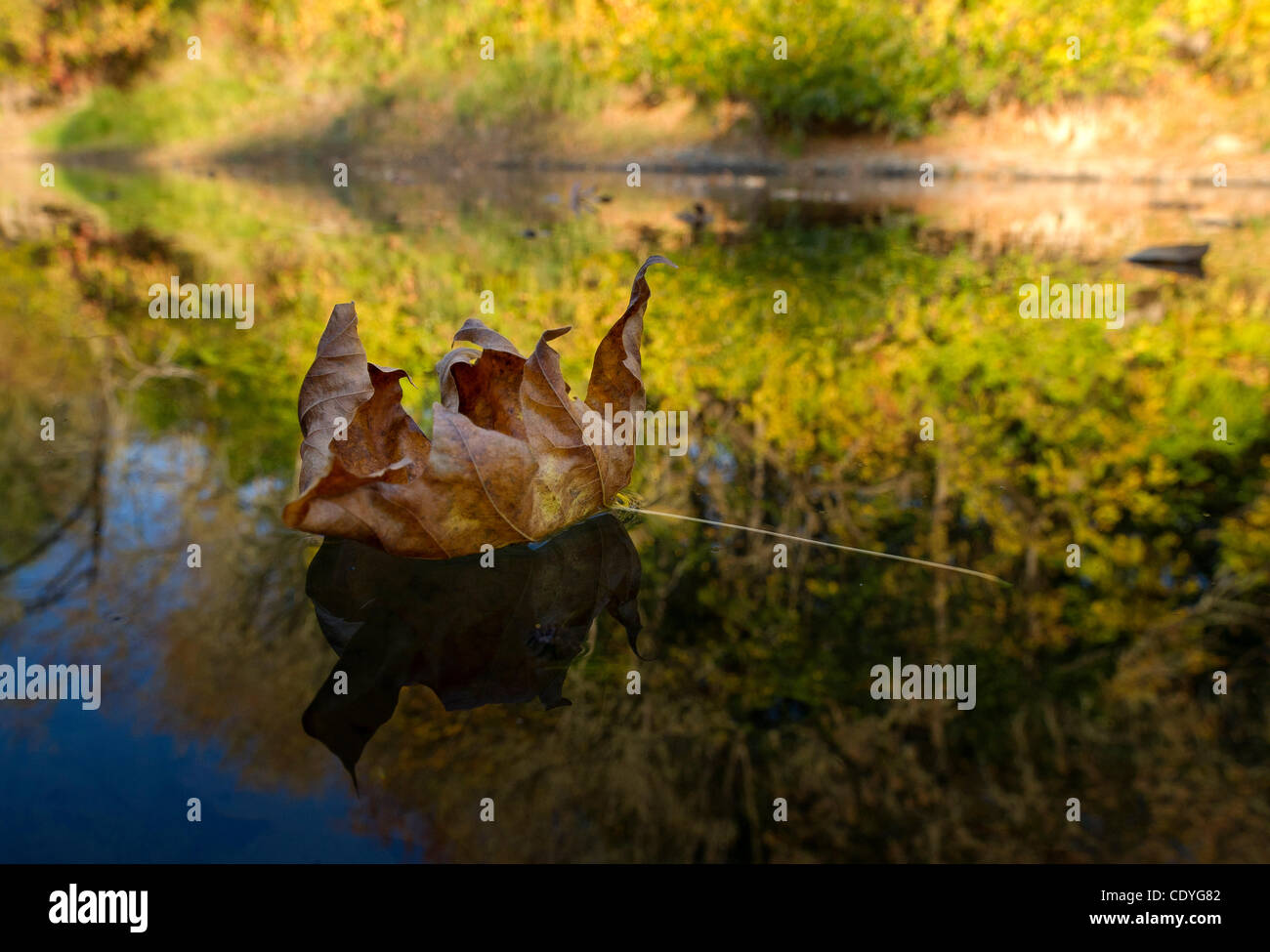 Elkton oregon hi-res stock photography and images - Alamy