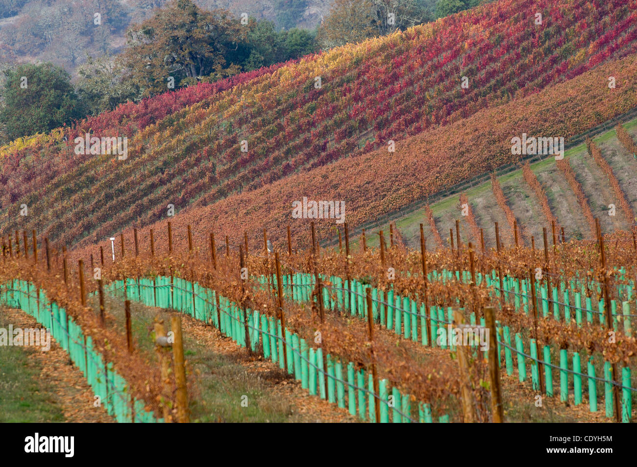 Fall colors seen near hi-res stock photography and images - Alamy