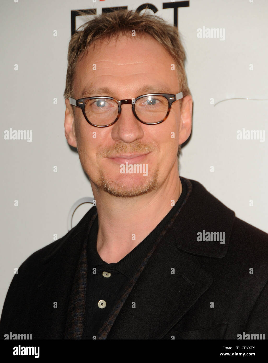 Nov. 4, 2011 - Los Angeles, California, U.S. - David Thewlis attending ...