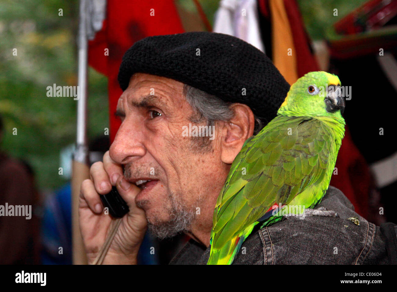 Circus parrot hi-res stock photography and images - Alamy