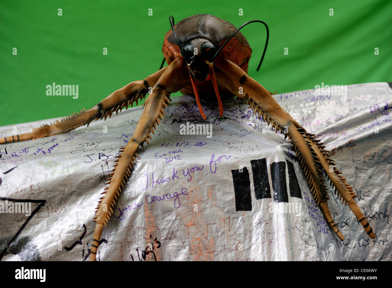 Cockroach tent decoration at Occupy Wall Street Stock Photo - Alamy