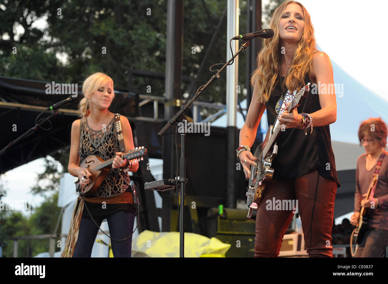 Court yard hounds hi-res stock photography and images - Alamy