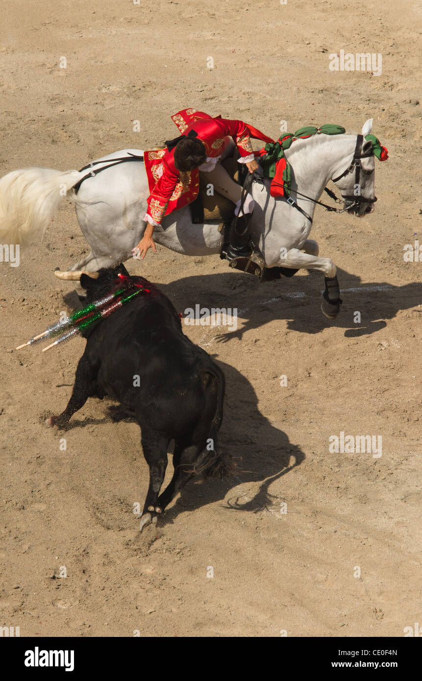 Matador bull 2011 hi-res stock photography and images - Alamy