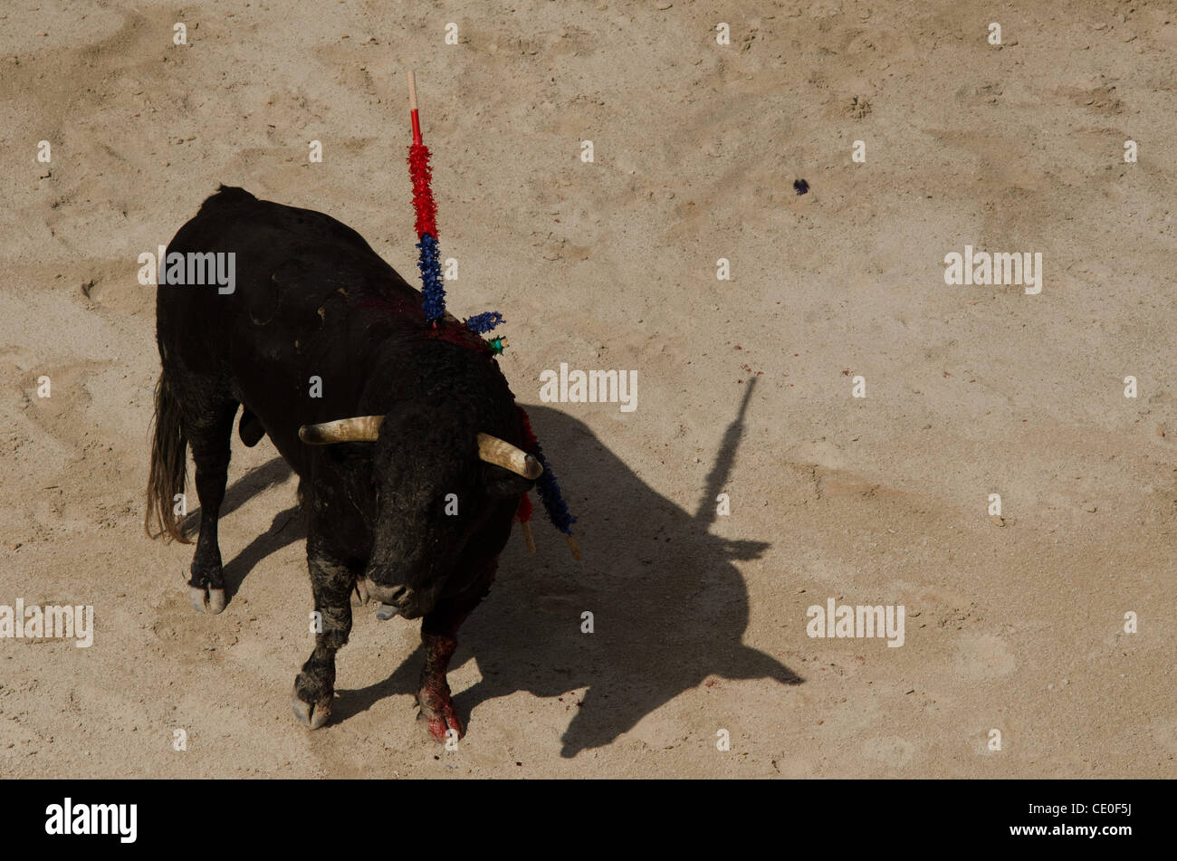 Banderilla hi-res stock photography and images - Alamy